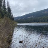 Grayling Lake Trail, Alaska - 108 Reviews, Map | AllTrails