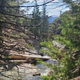 Viola Falls, California - 271 Reviews, Map | AllTrails