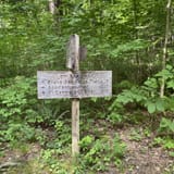 Sutton Ridge Overlook Trail, Tennessee - 495 Reviews, Map | AllTrails