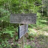 Sutton Ridge Overlook Trail, Tennessee - 495 Reviews, Map | AllTrails