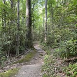 Sutton Ridge Overlook Trail, Tennessee - 495 Reviews, Map | AllTrails