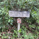 Sutton Ridge Overlook Trail, Tennessee - 495 Reviews, Map | AllTrails