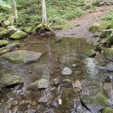 Sutton Ridge Overlook Trail, Tennessee - 495 Reviews, Map | AllTrails