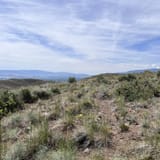 Keystone Canyon Trail, Nevada - 997 Reviews, Map | AllTrails