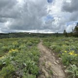 Eagle Loop, Idaho - 112 Reviews, Map | AllTrails