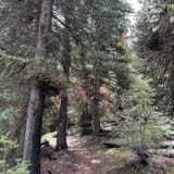 Eagle Loop, Idaho - 112 Reviews, Map | AllTrails
