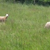 Boxley and the North Downs Circular, Kent, England - 430 Reviews, Map ...