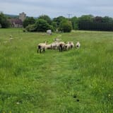 Boxley and the North Downs Circular, Kent, England - 430 Reviews, Map ...