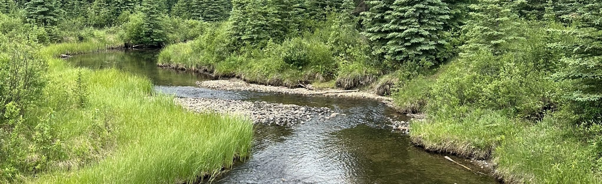 Beaver Ranch Trail, Alberta, Canada - 14 Reviews, Map | AllTrails