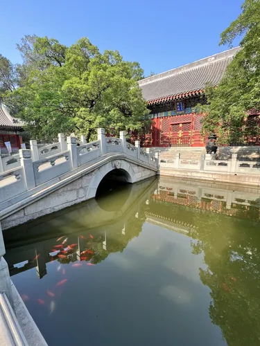 Best Hikes and Trails in Fragrant Hills Park | AllTrails