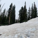 Gilpin Lake Trail, Colorado - 500 Reviews, Map | AllTrails