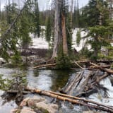 Gilpin Lake Trail, Colorado - 500 Reviews, Map | AllTrails