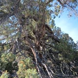 Fat Rabbit Loop Trail, Oregon - 450 Reviews, Map | AllTrails