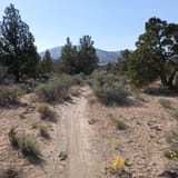 Fat Rabbit Loop Trail, Oregon - 450 Reviews, Map | AllTrails