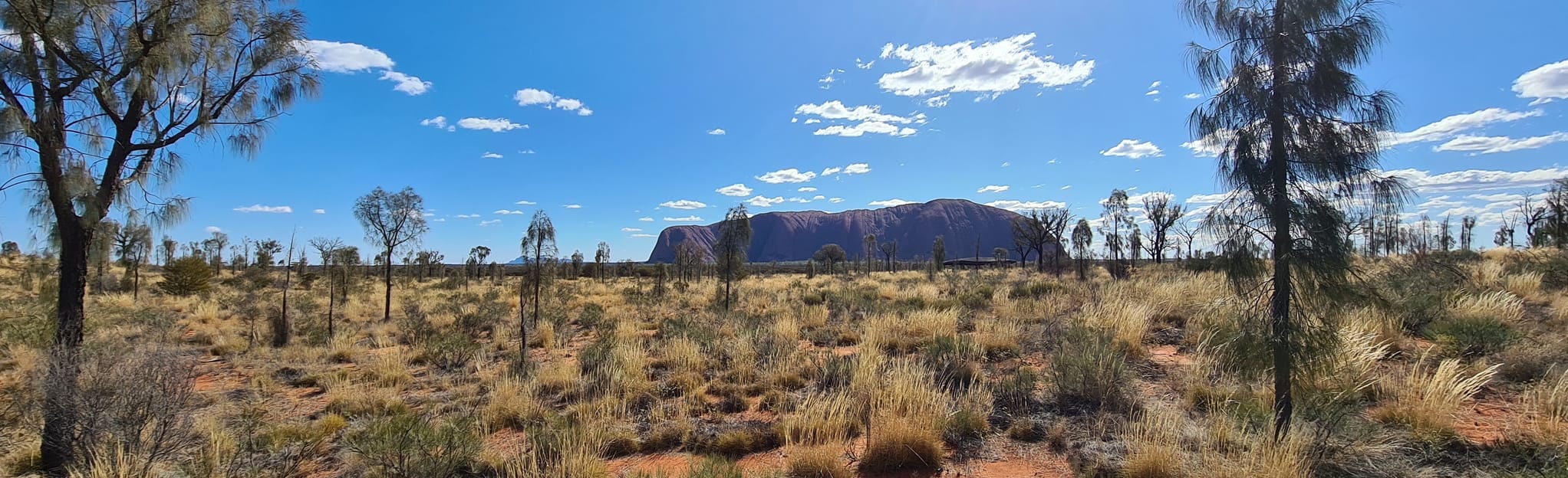 Minymaku Walk and Watiku Platform Trail: 18 Reviews, Map - Northern ...