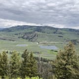 Specimen Ridge Trail, Montana - 68 Reviews, Map | AllTrails