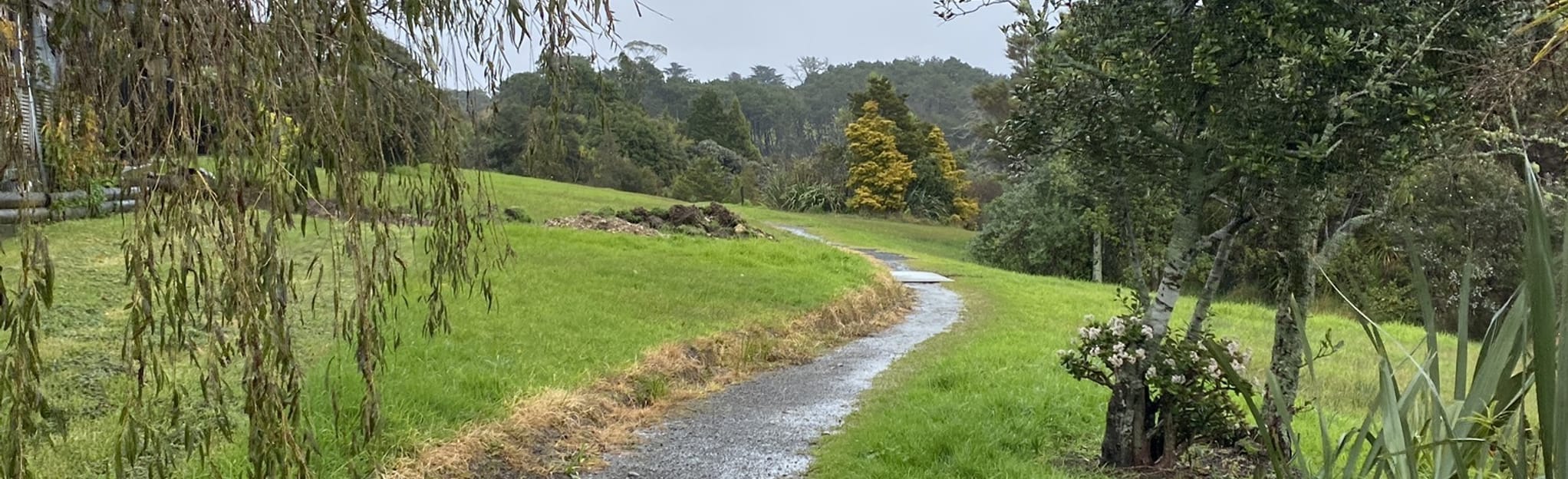 Centennial Park Bush Walk: 161 Reviews, Map - Auckland, New Zealand ...