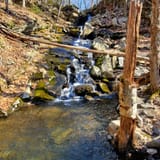 Whitestone Cliffs Trail, Connecticut - 537 Reviews, Map | AllTrails