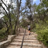 Mount Bonnell Trail, Texas - 911 Reviews, Map | AllTrails