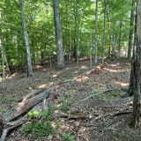 Lost Spring Trail, Tennessee - 68 Reviews, Map | AllTrails