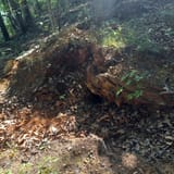 Lost Spring Trail, Tennessee - 68 Reviews, Map | AllTrails