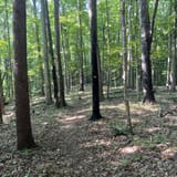 Lost Spring Trail, Tennessee - 68 Reviews, Map | AllTrails
