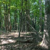 Lost Spring Trail, Tennessee - 68 Reviews, Map | AllTrails