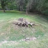 Lost Spring Trail, Tennessee - 68 Reviews, Map | AllTrails