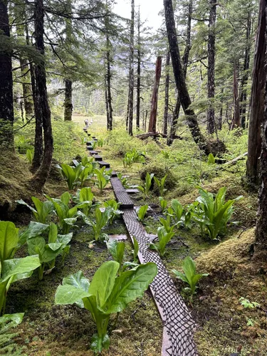 2023 Best Waterfall Trails in Cordova | AllTrails 2023 Best Waterfall Trails in Cordova | AllTrails