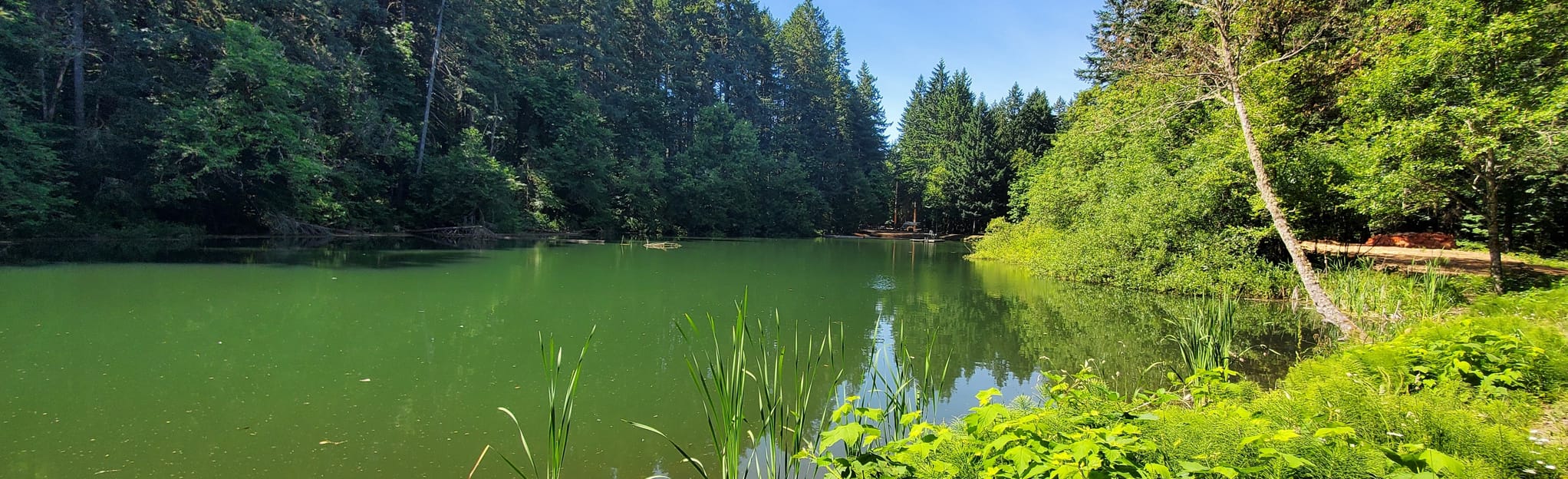 Camp Adair to Oak Creek: 37 Reviews, Map - Oregon | AllTrails