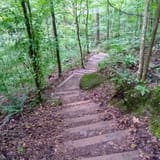 Bridge Loop Trail and Lake Loop Trail, Georgia - 840 Reviews, Map ...