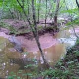 Bridge Loop Trail and Lake Loop Trail, Georgia - 840 Reviews, Map ...