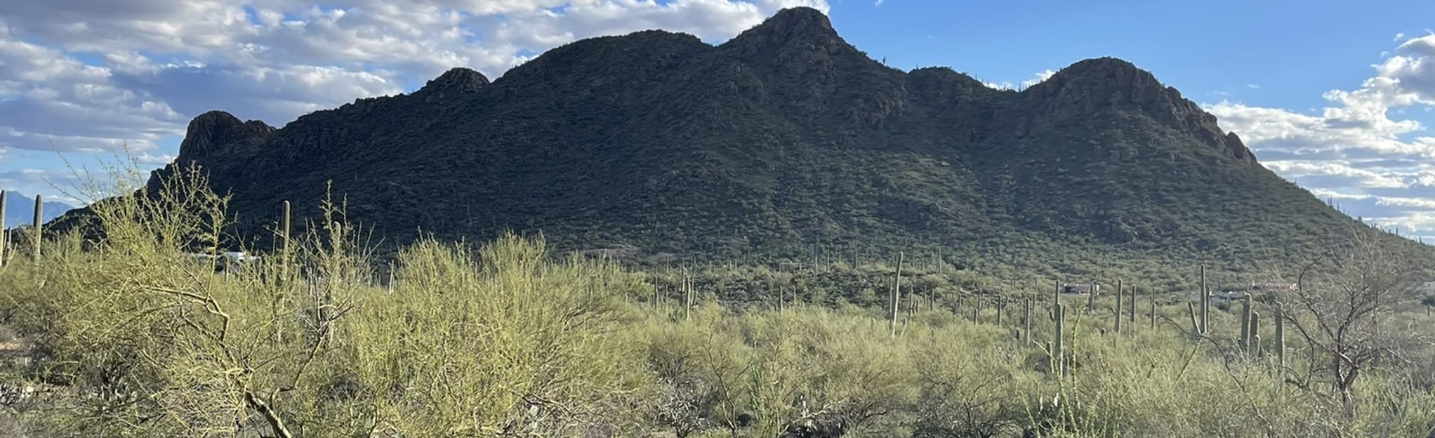 Cascabel Trail Loop via Bittersweet Trail: 181 Reviews, Map - Arizona ...