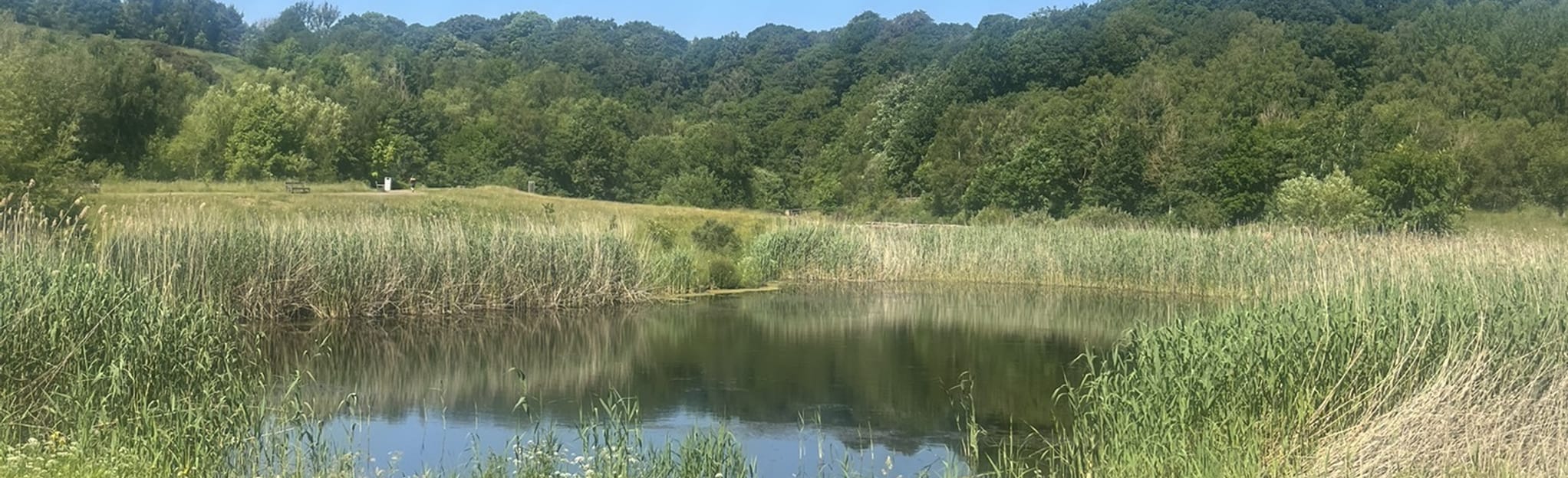 Winlaton Mill to Lintzford via River Derwent and Chopwell Plantations ...