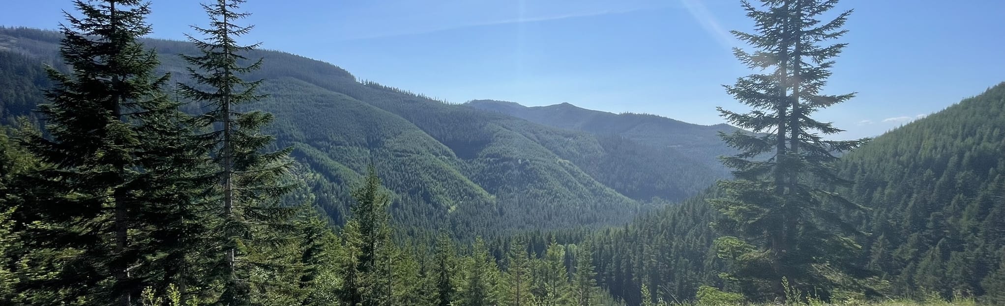 Naches and Greenwater OHV Trail, Washington - 27 Reviews, Map | AllTrails