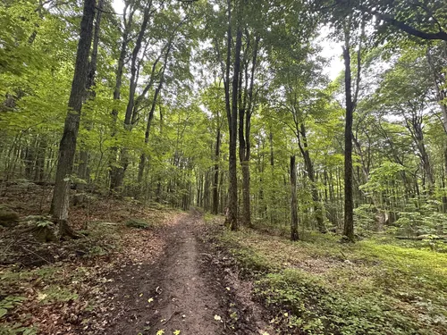 2023 Best Easy Trails in Pretty River Valley Provincial Park | AllTrails