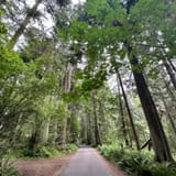 Washington Park Loop Road, Washington - 1,565 Reviews, Map | AllTrails