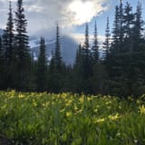 Piegan Pass Trail, Montana - 150 Reviews, Map | AllTrails