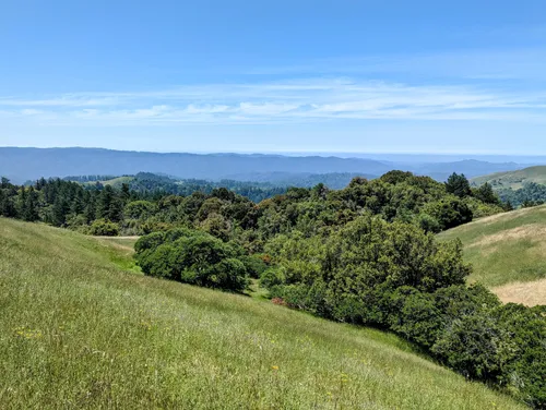Best Hikes and Trails in Russian Ridge Open Space Preserve | AllTrails