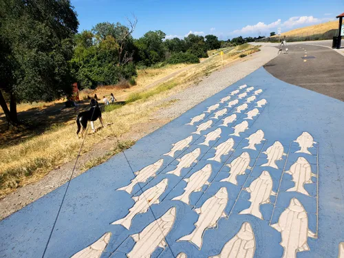 Best Hikes and Trails in Sutter's Landing Regional Park | AllTrails