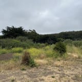 Presidio Loop Trail, California - 1,289 Reviews, Map | AllTrails