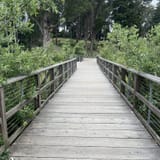 Presidio Loop Trail, California - 1,411 Reviews, Map | AllTrails