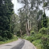 Presidio Loop Trail, California - 1,411 Reviews, Map | AllTrails