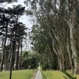 Presidio Loop Trail, California - 1,411 Reviews, Map | AllTrails