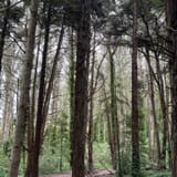 Presidio Loop Trail, California - 1,411 Reviews, Map | AllTrails