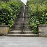 Presidio Loop Trail, California - 1,411 Reviews, Map | AllTrails