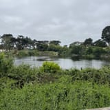 Presidio Loop Trail, California - 1,411 Reviews, Map | AllTrails