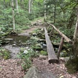 Sutton Ridge Overlook Trail, Tennessee - 495 Reviews, Map | AllTrails
