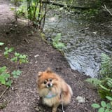 Puget Park Trail, Washington - 339 Reviews, Map | AllTrails