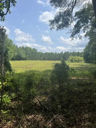 Best Hikes and Trails in Moncks Corner | AllTrails